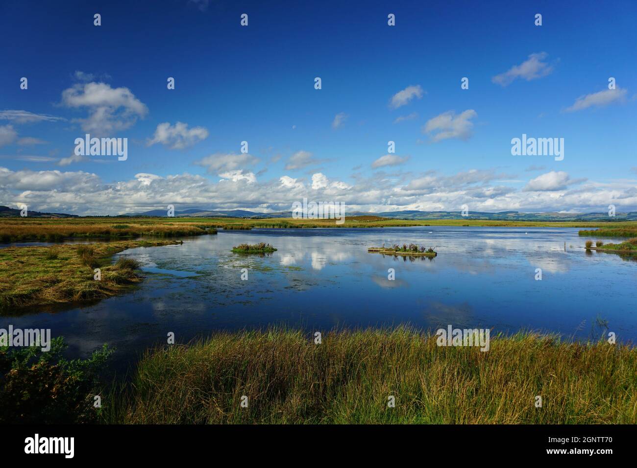 Loch leven bird reserve hi-res stock photography and images - Alamy
