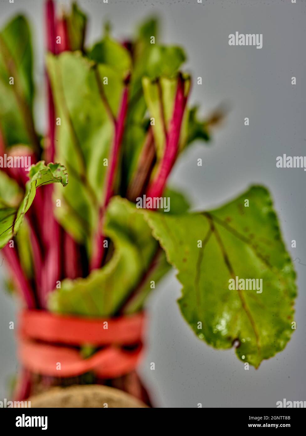 Close up still life of Beetroot against a plain background, high ...
