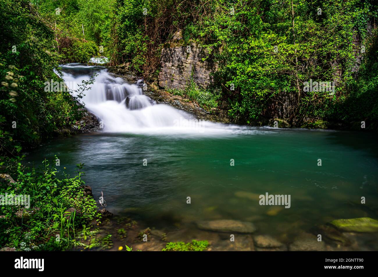 Waterfall in a green little pond in the ligurian inland near Calvari ...