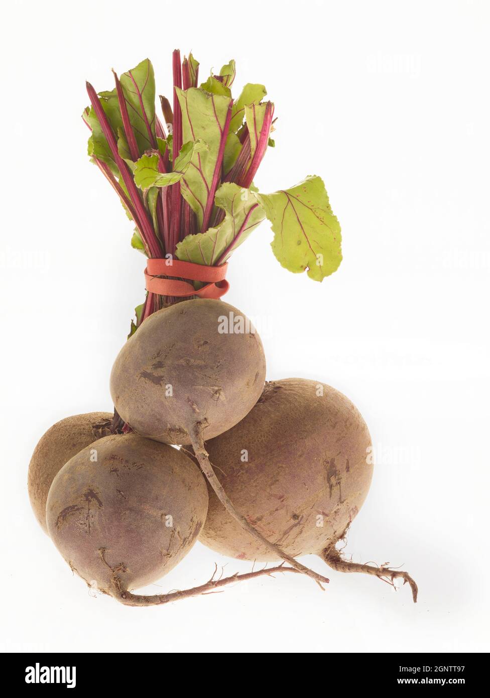 Close up still life of Beetroot against a plain background, high ...