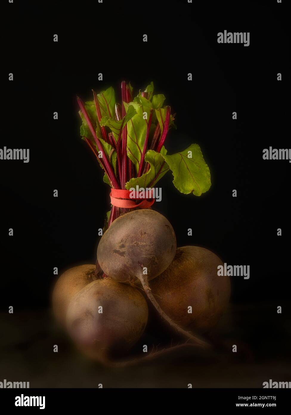 Close up still life of Beetroot against a plain background, high ...