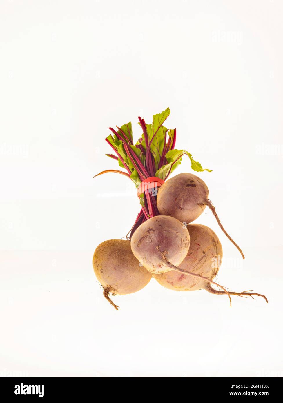 Close up still life of Beetroot against a plain background, high ...