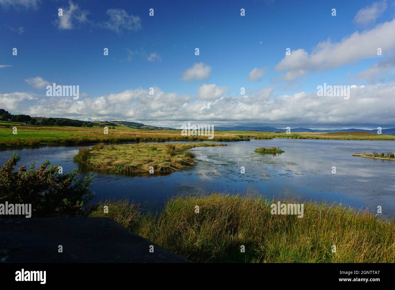RSPB Loch Leven bird reserve Fife Scotland Stock Photo - Alamy