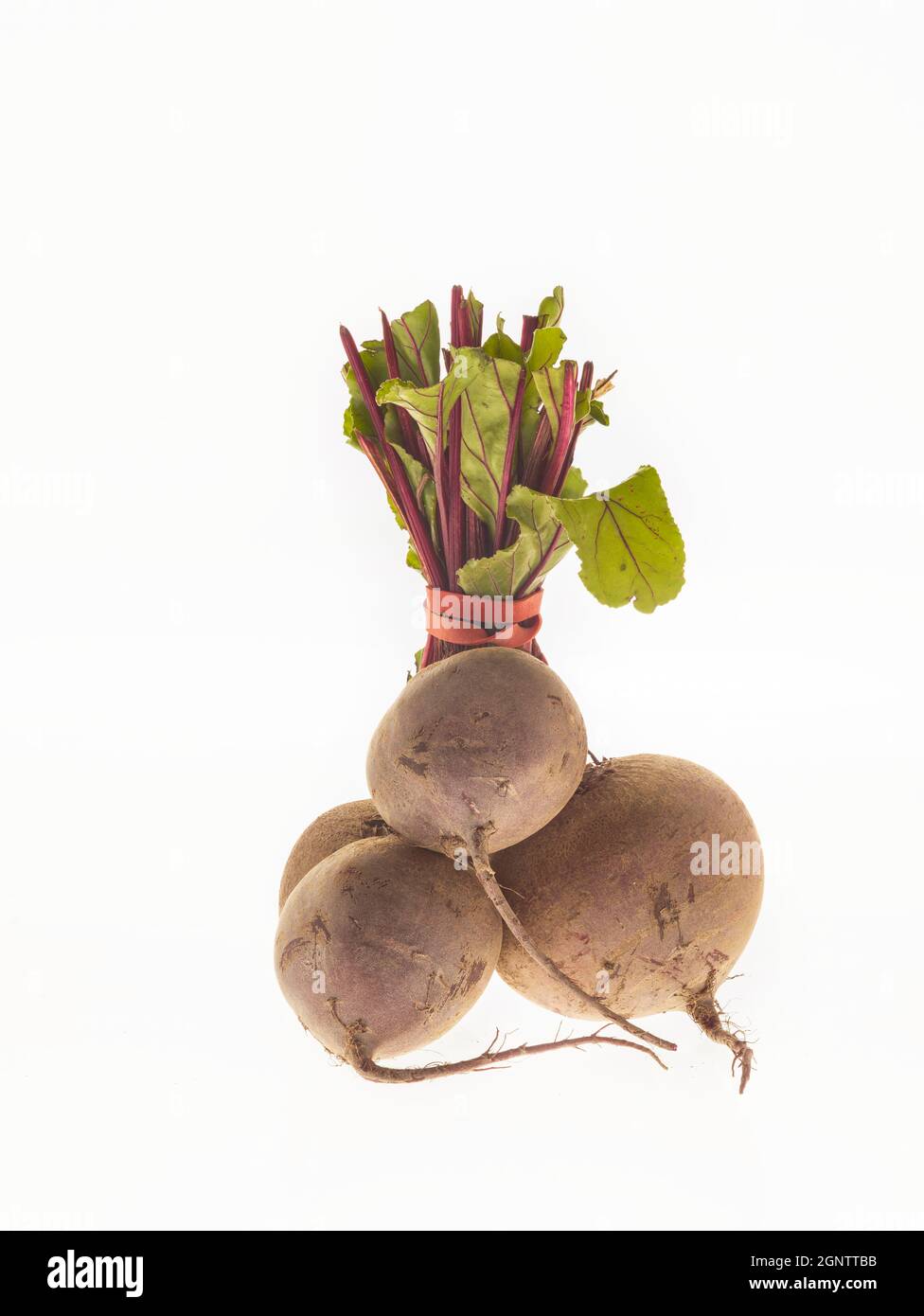 Close up still life of Beetroot against a plain background, high ...
