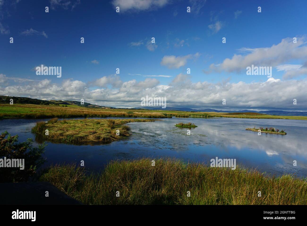 Scottish bird sanctuary hi-res stock photography and images - Alamy