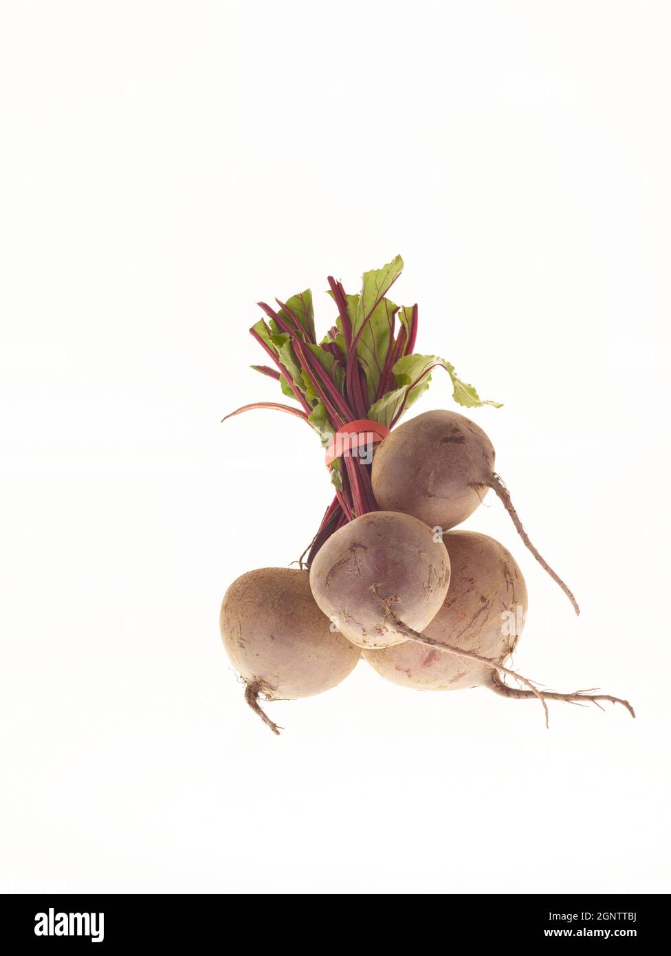 Close up still life of Beetroot against a plain background, high ...