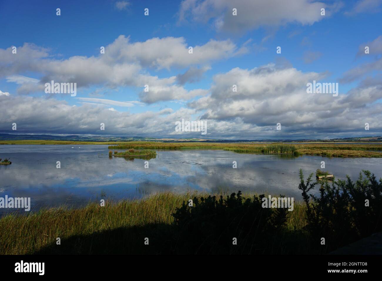 RSPB Loch Leven bird reserve Fife Scotland Stock Photo - Alamy