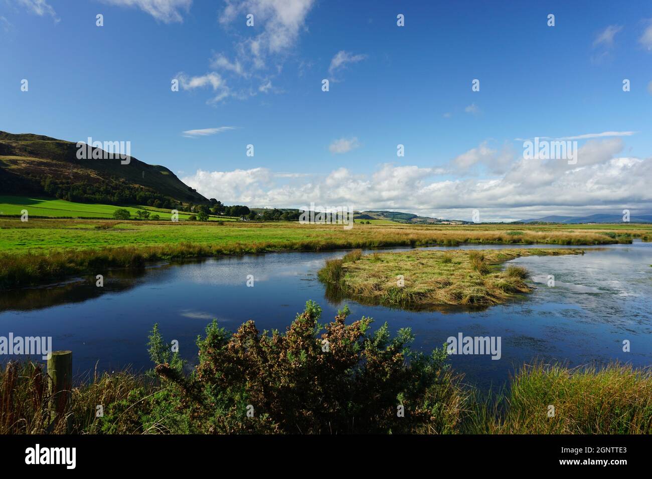 Wetland site scotland hi-res stock photography and images - Alamy