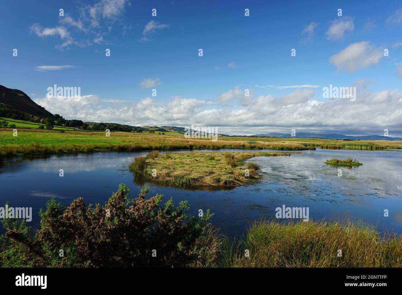 RSPB Loch Leven bird reserve Fife Scotland Stock Photo - Alamy