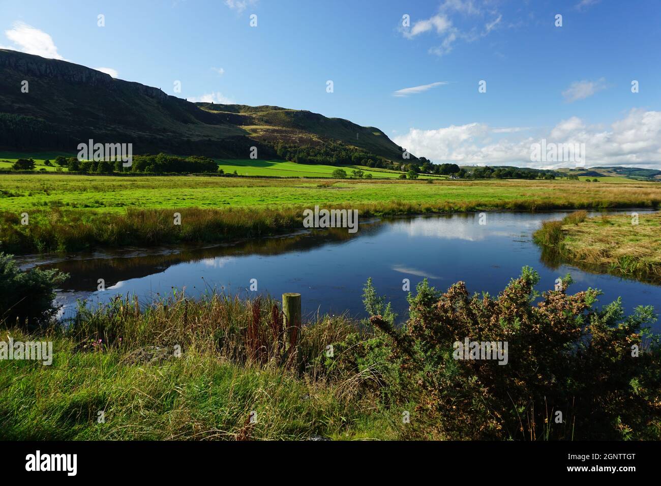 Loch leven bird reserve hi-res stock photography and images - Alamy