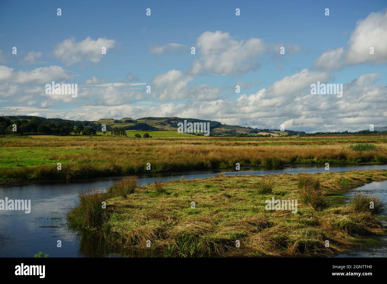 RSPB Loch Leven bird reserve Fife Scotland Stock Photo - Alamy
