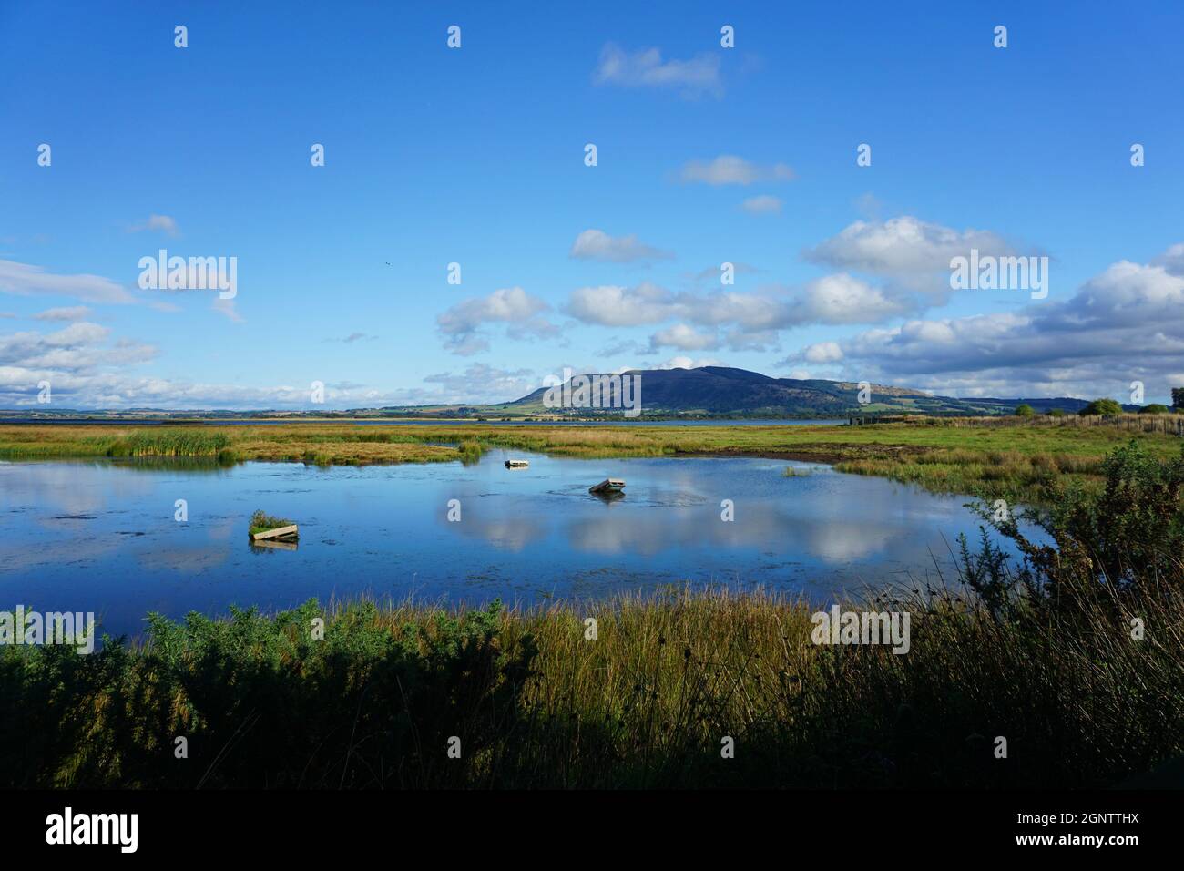 Loch leven bird reserve hi-res stock photography and images - Alamy