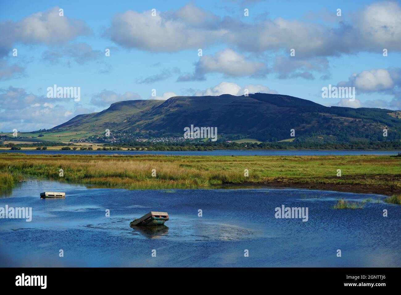 RSPB Loch Leven bird reserve Fife Scotland Stock Photo - Alamy