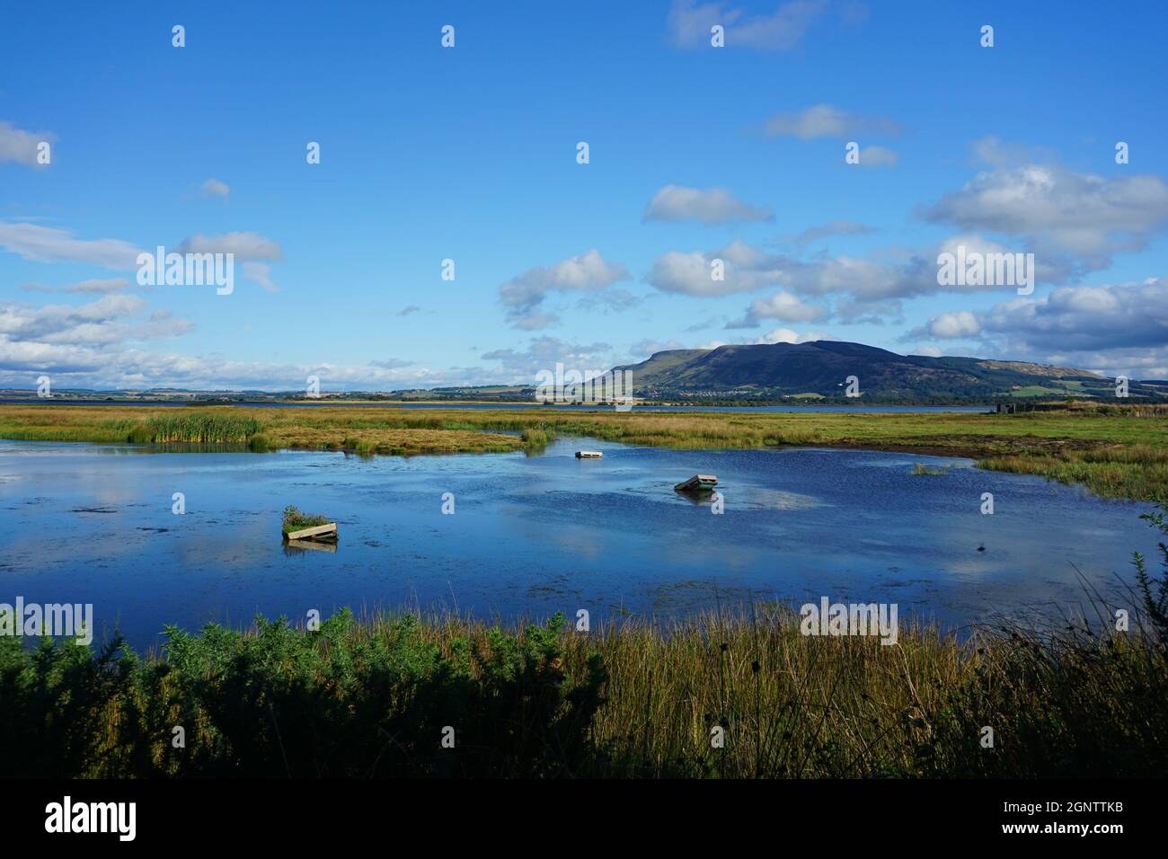 RSPB Loch Leven bird reserve Fife Scotland Stock Photo - Alamy