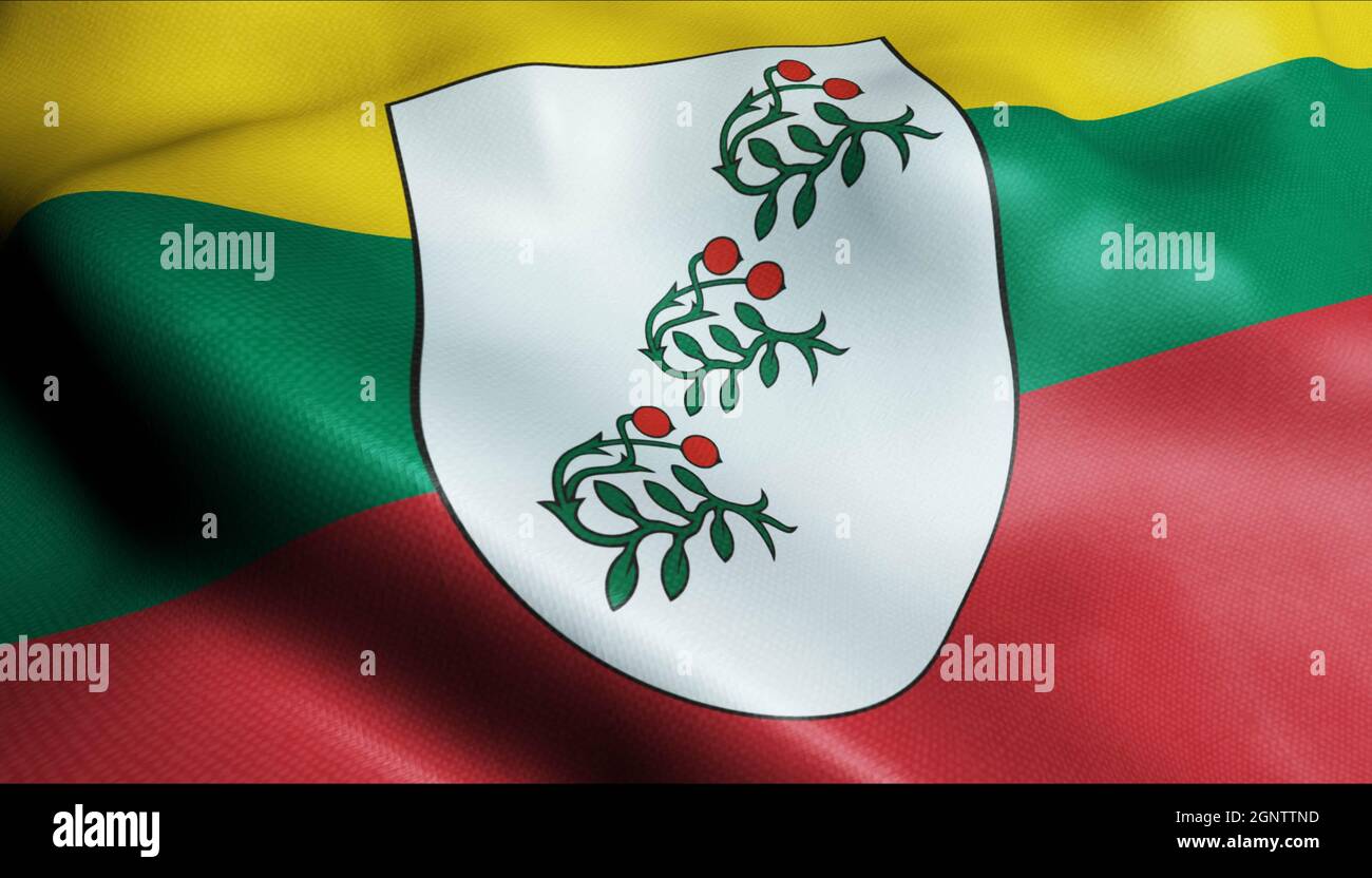 3D Illustration of a waving Lithuanian city flag of Ezerelis Stock ...