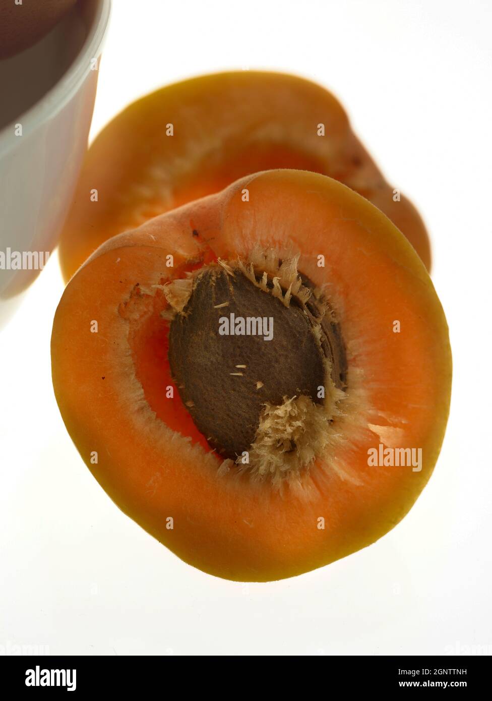 Colourful and sweet Apricots still-life against plain white background ...