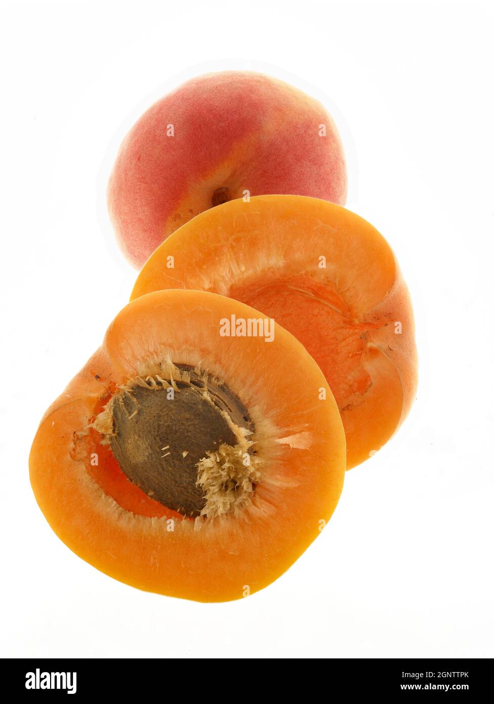 Colourful and sweet Apricots still-life against plain white background ...