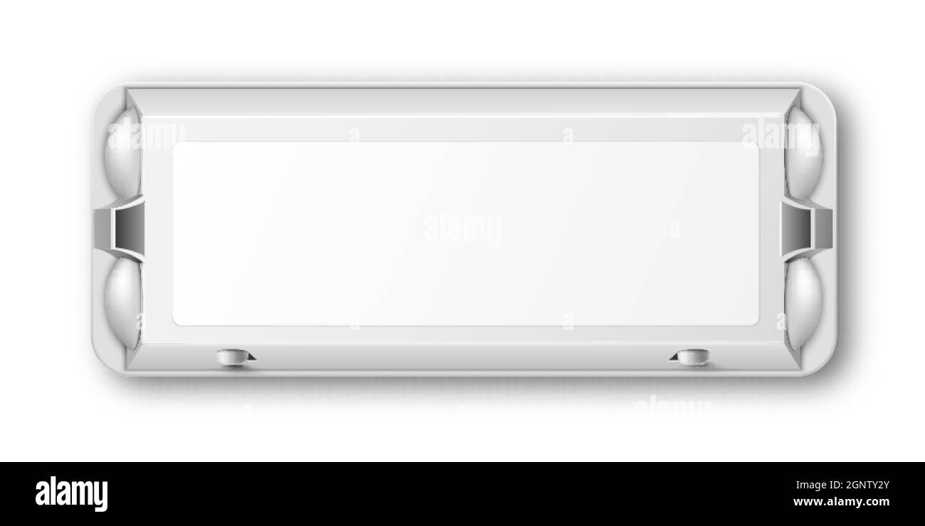 Egg tray 3d realistic vector template on white background. 3D ...