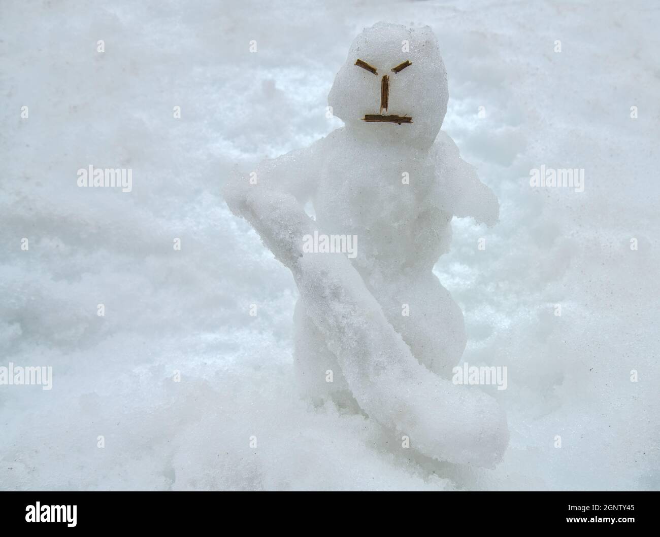 A snowman with a bandy, severe-looking (goalie mask). Professional ...