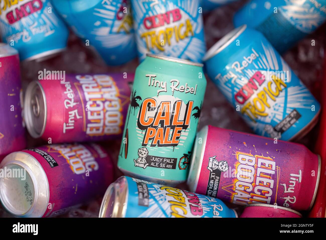 Multiple cans of Tiny Rebel beer Stock Photo - Alamy