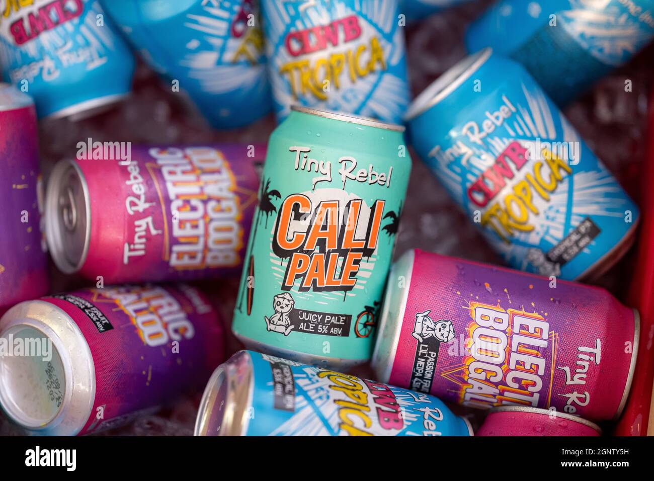 Multiple cans of Tiny Rebel beer Stock Photo - Alamy