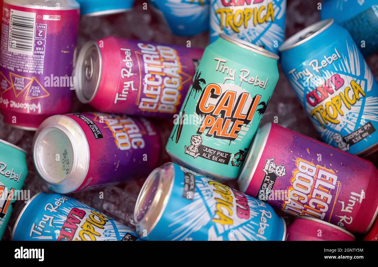 Multiple cans of Tiny Rebel beer Stock Photo - Alamy