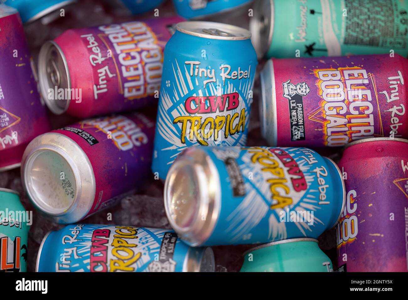 Multiple cans of Tiny Rebel beer Stock Photo - Alamy