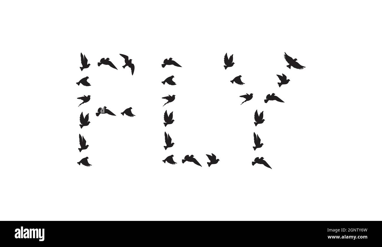 Flying birds silhouettes in shape of fly isolated on white background ...