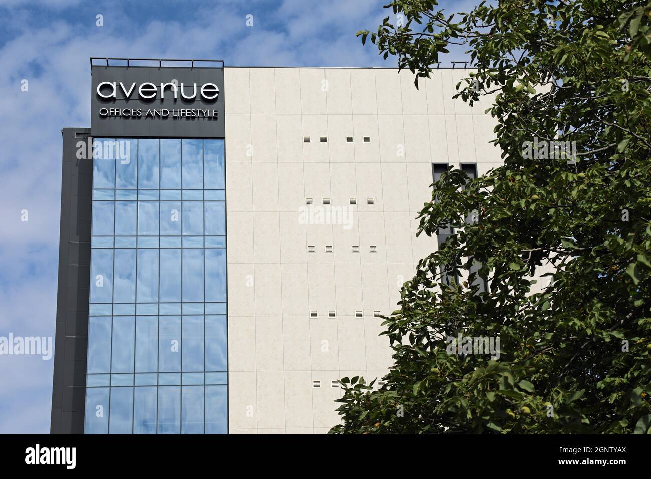Cel office hi-res stock photography and images - Alamy