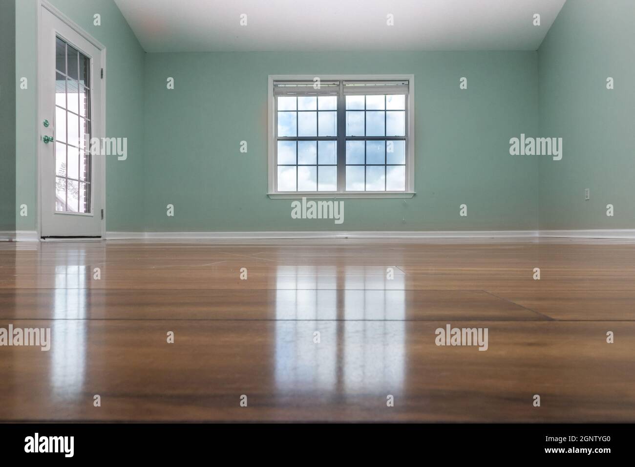 An empty green room with light hardwood floors and a window Stock Photo ...