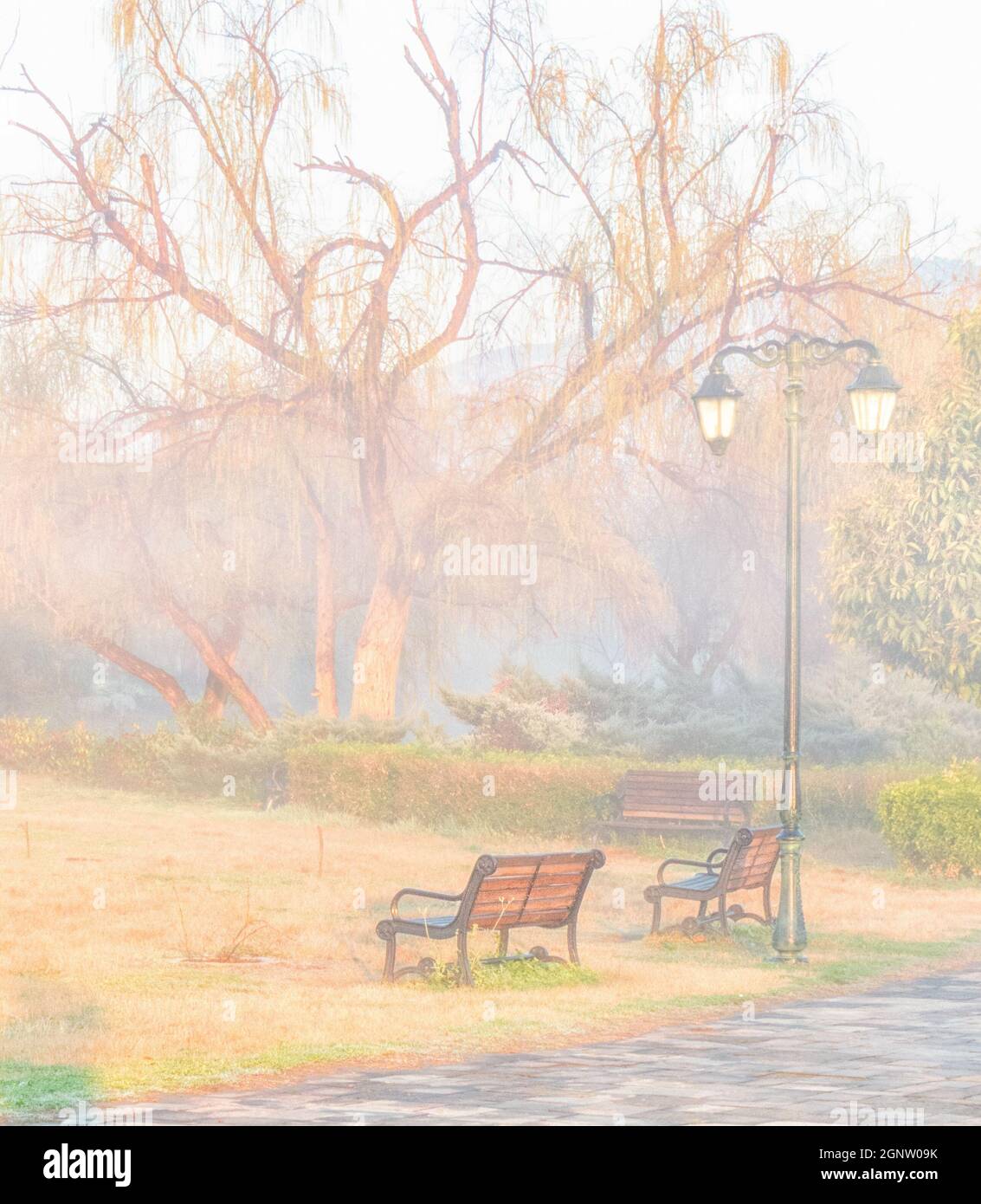 Benches, a lamp pole, and trees in an autumn park under the bright ...