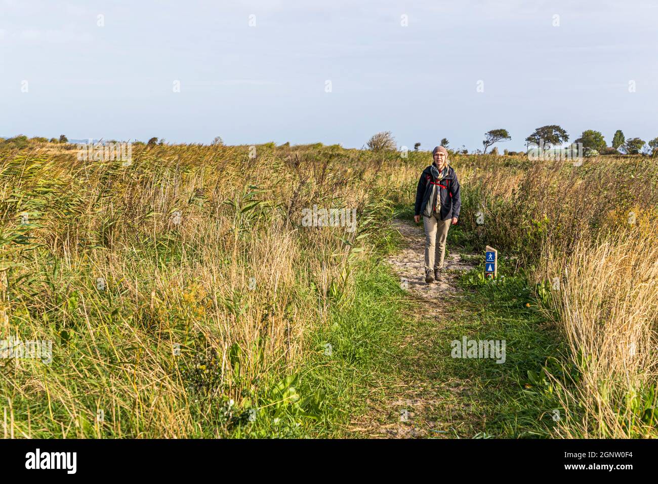 Archipelago path (Øhavsstien) on Langeland, Denmark Stock Photo - Alamy