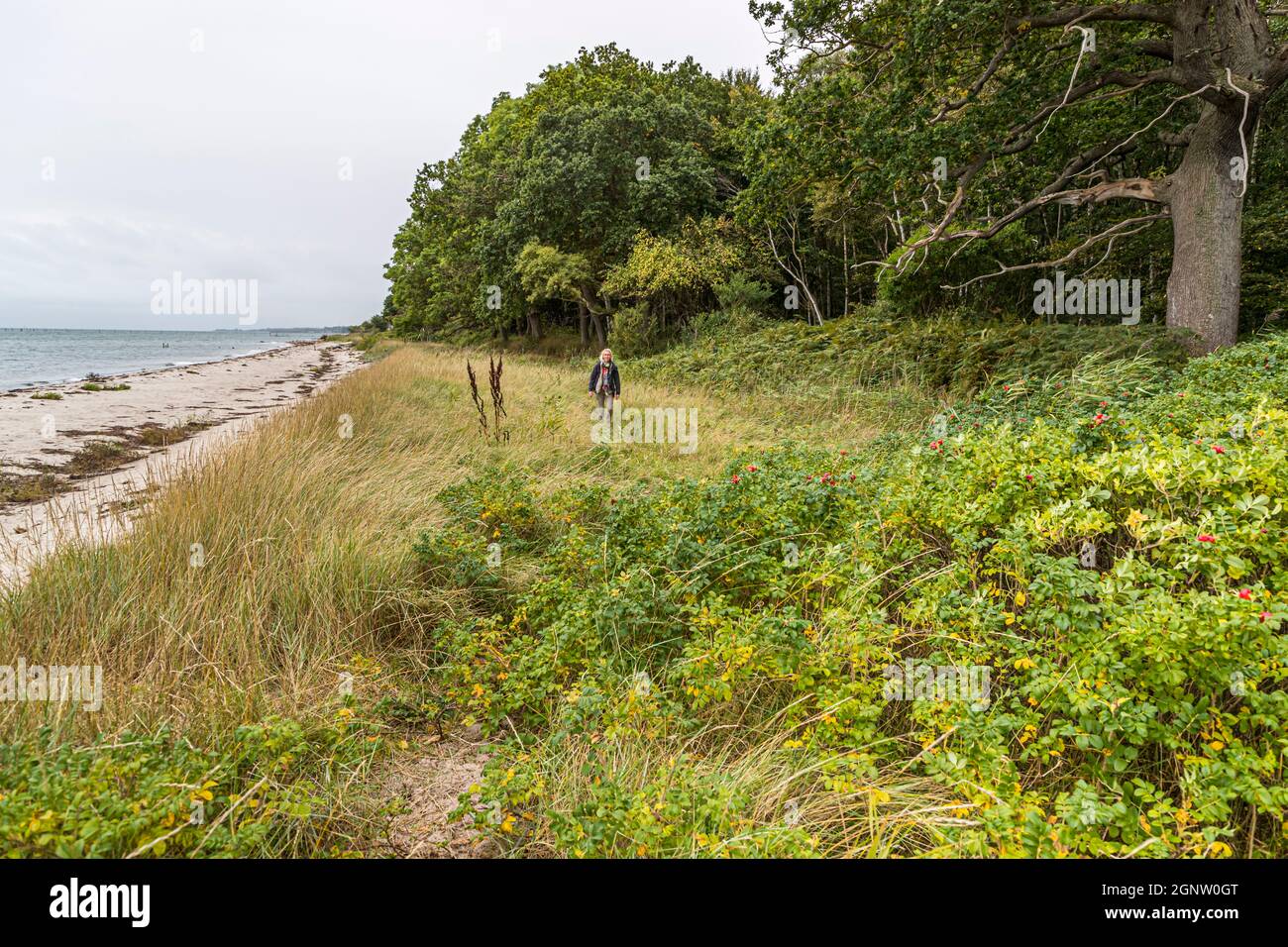 Gentle hills and soft paths on the Archipelago path (Øhavsstien). On ...