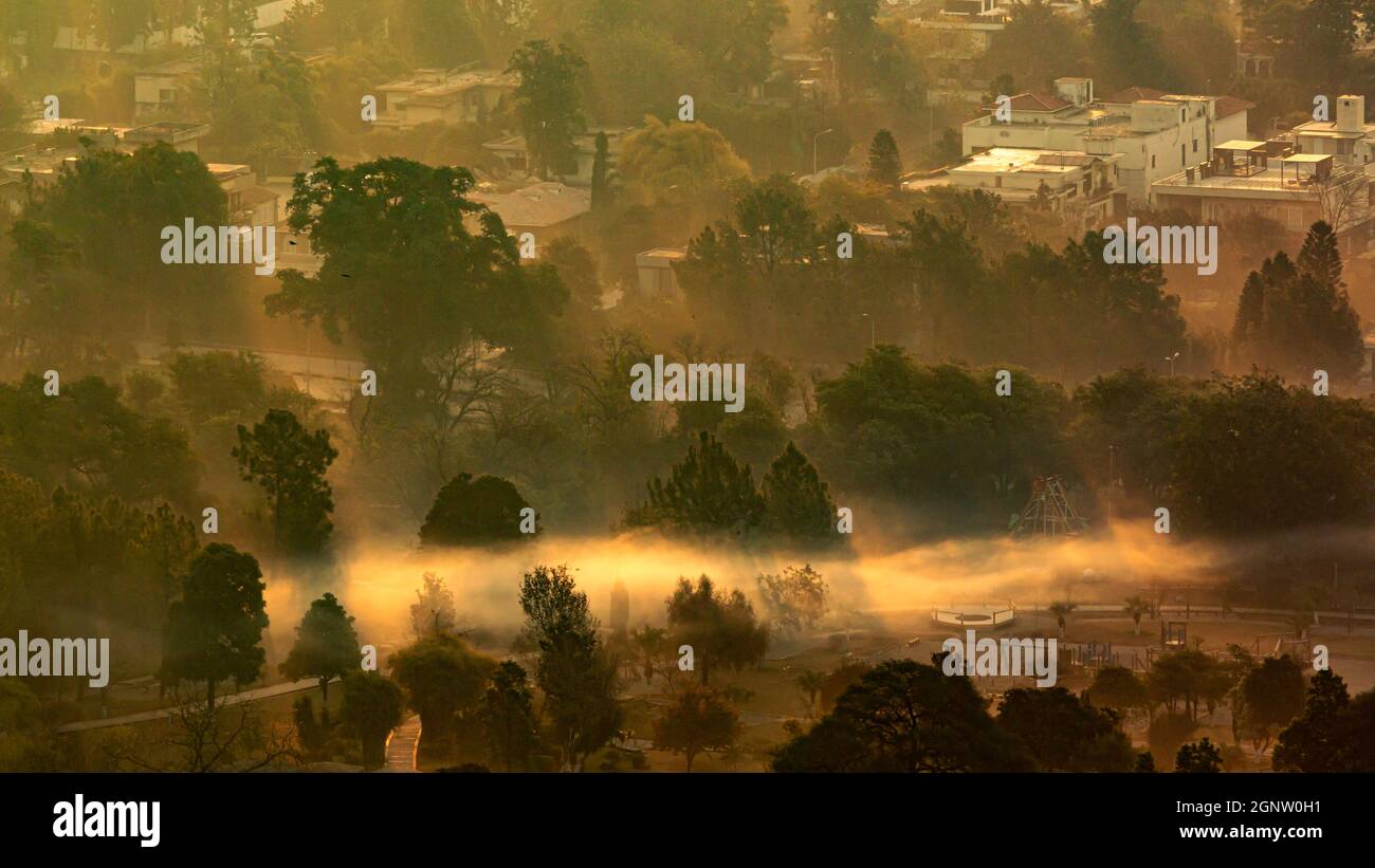 Fog with sun rays over a city and a park at golden hour Stock Photo - Alamy