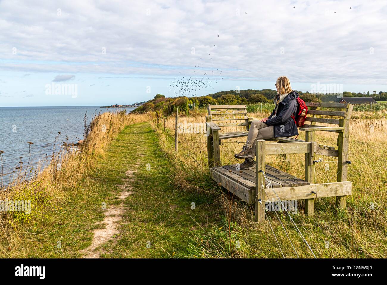 Gentle hills and soft paths on the Archipelago path (Øhavsstien). On ...