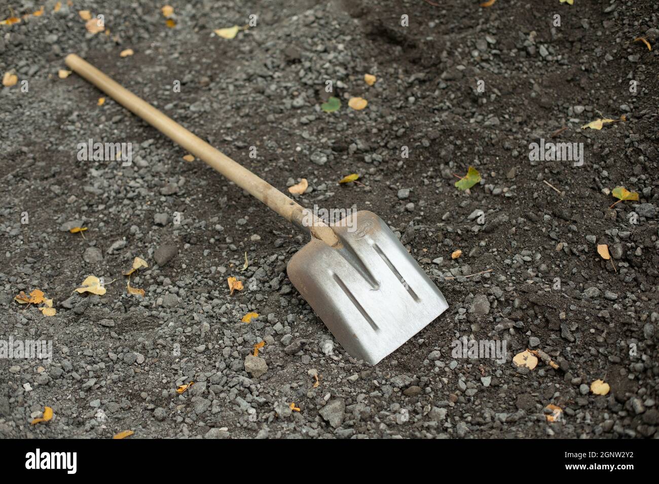 Shovel. Building instrument for bulk materials. The shovel lies on the ...