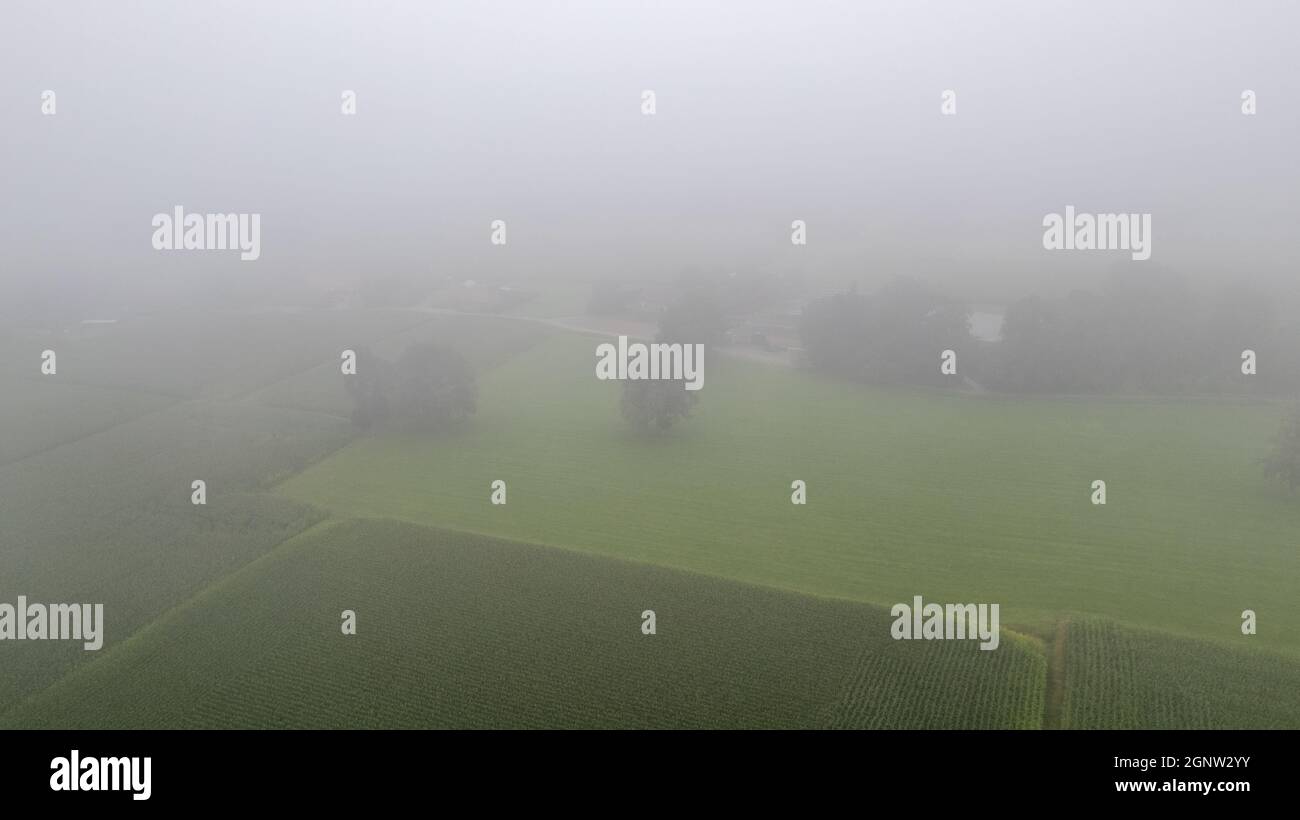 Aerial view of a rural landscape during sunrise in Belgium. Rural farm ...