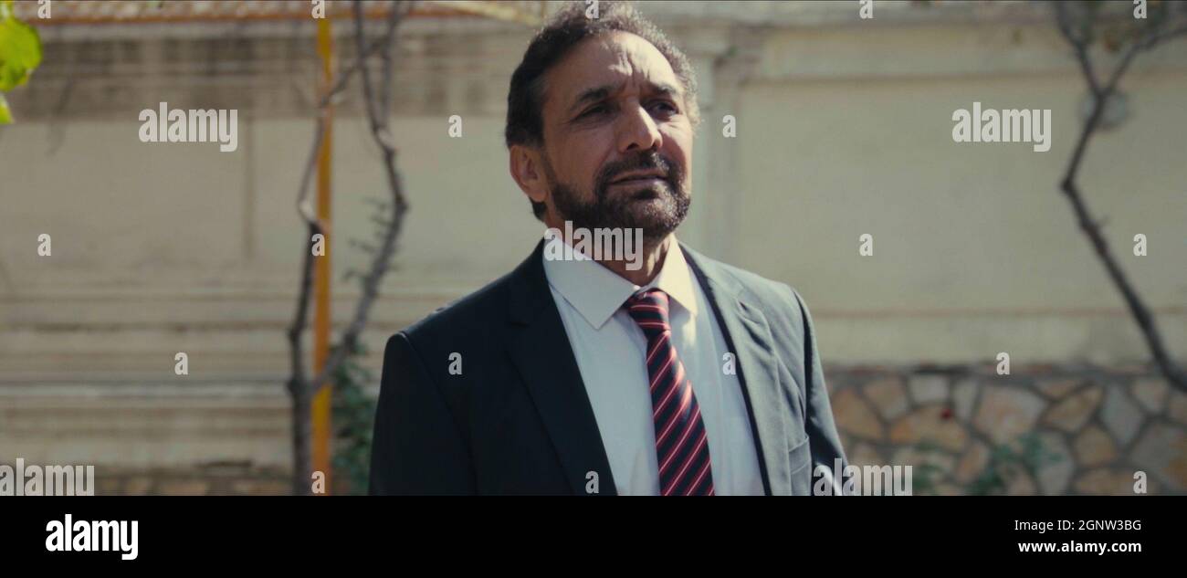 TURNING POINT: 9/11 AND THE WAR ON TERROR, Ahmad Zia Massoud, brother ...