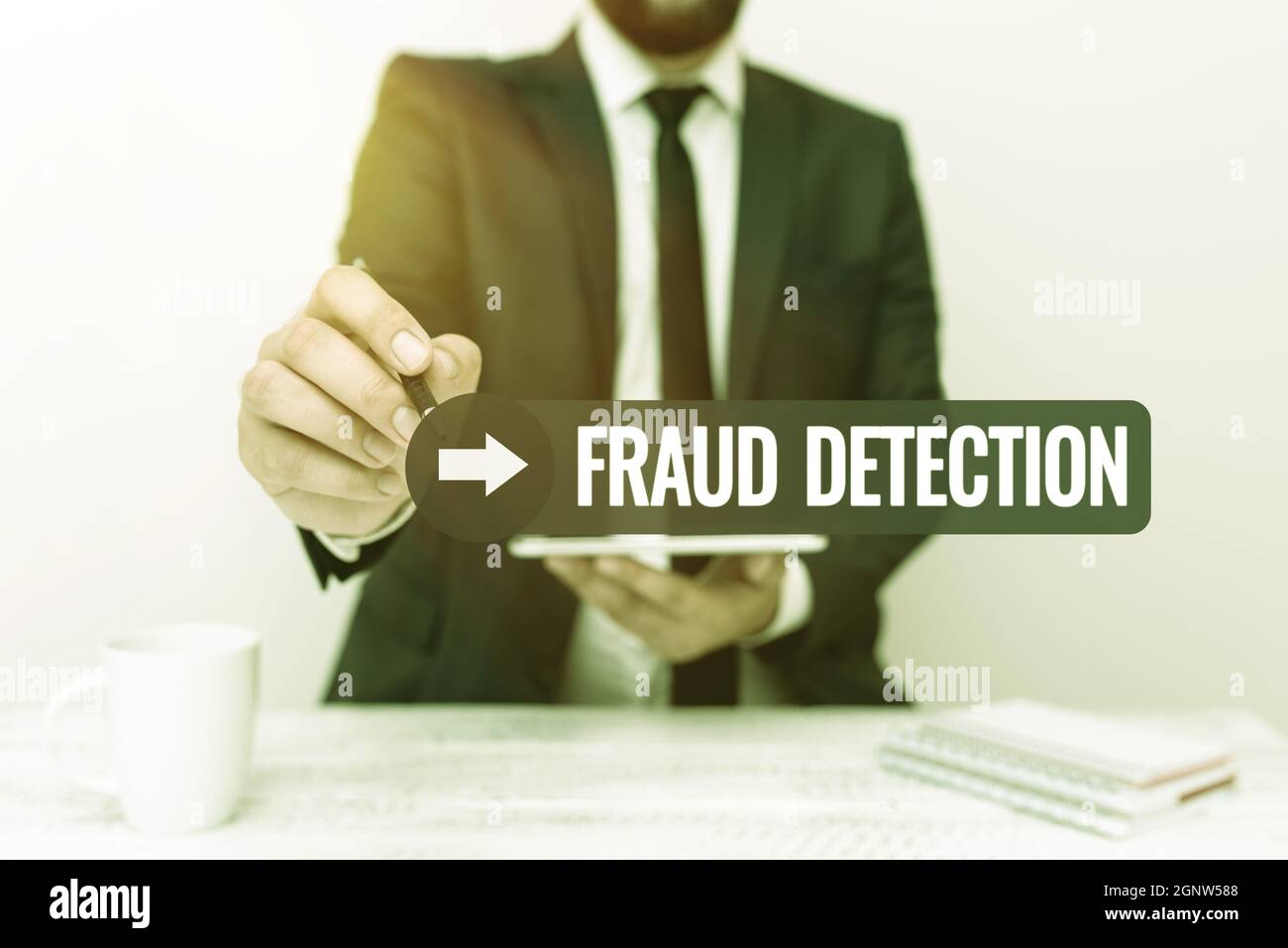 Text showing inspiration Fraud Detection. Business overview ... Text showing inspiration Fraud Detection. Business overview ...