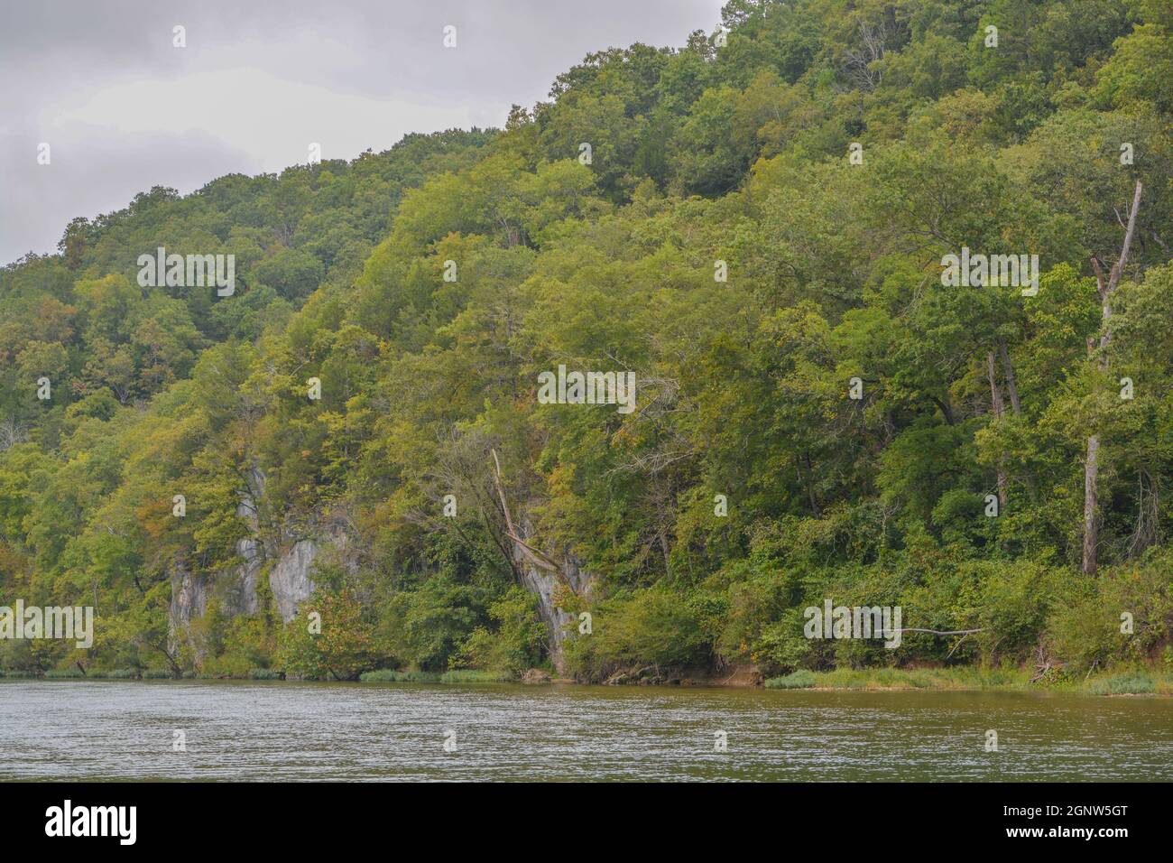 The Current River flows through the Mountains of Ozark National Scenic ...