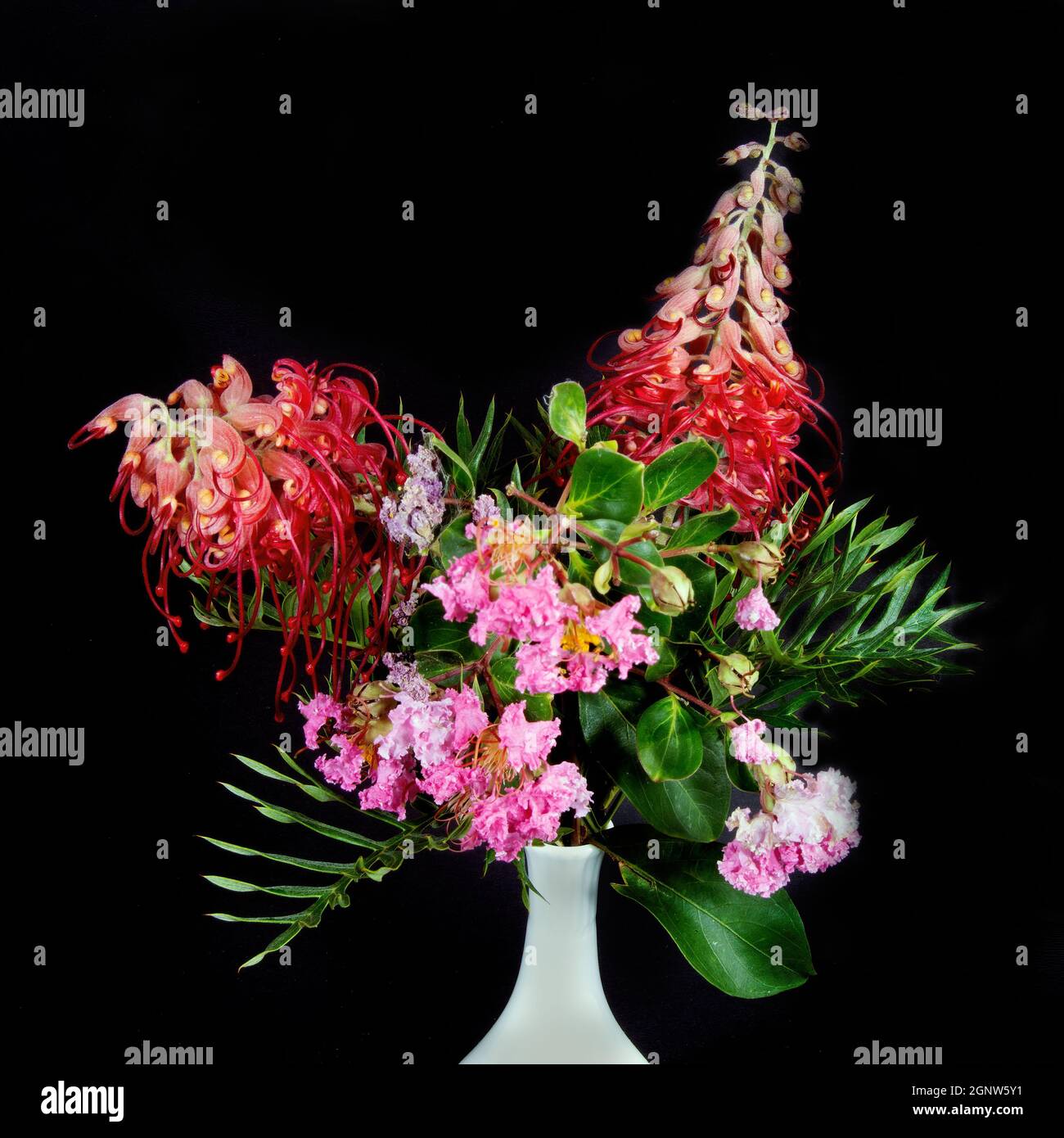 Australian native flower bunch isolated hi-res stock photography and ...