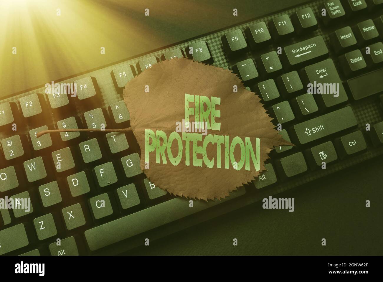 Writing displaying text Fire Protection. Concept meaning measures taken ...