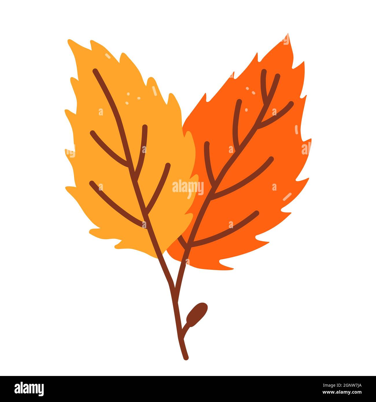 Twig with orange and yellow leaves isolated on white background. Vector ...