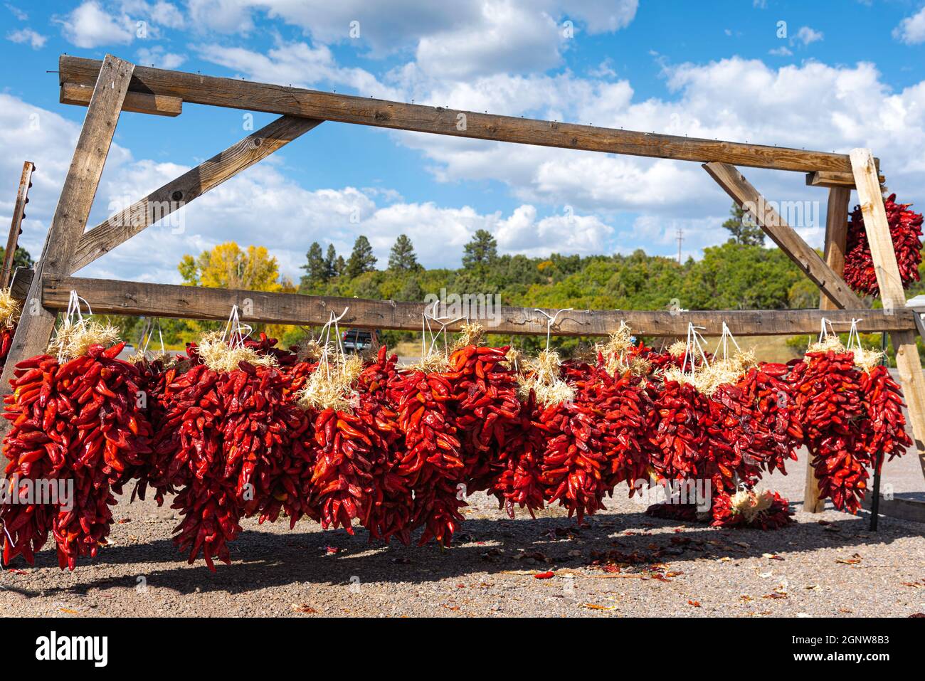 Red Chile ristras for sale, hanging from a drying rack, a wooden ...
