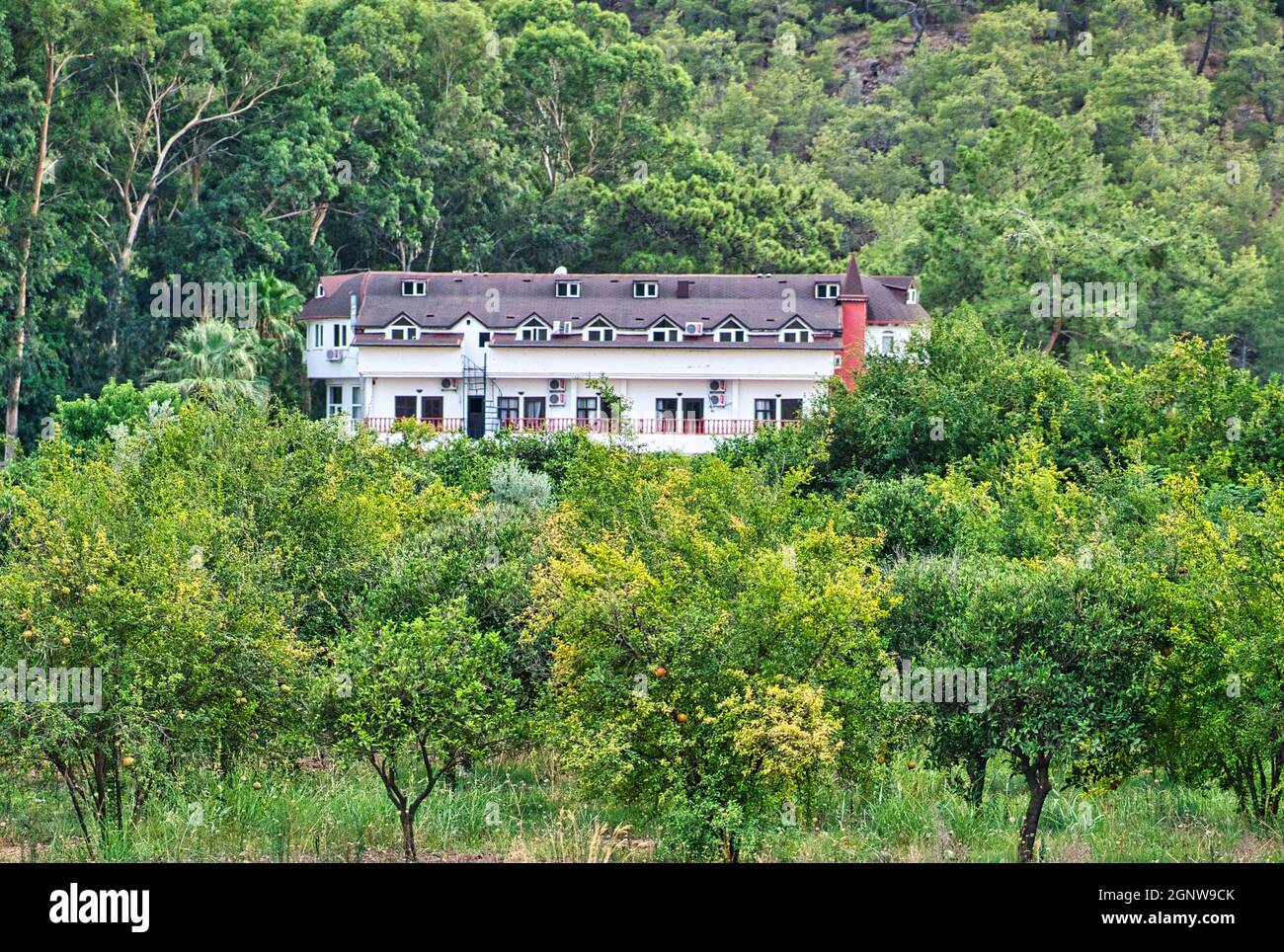 Building surrounded by forest trees below the mountain Stock Photo - Alamy