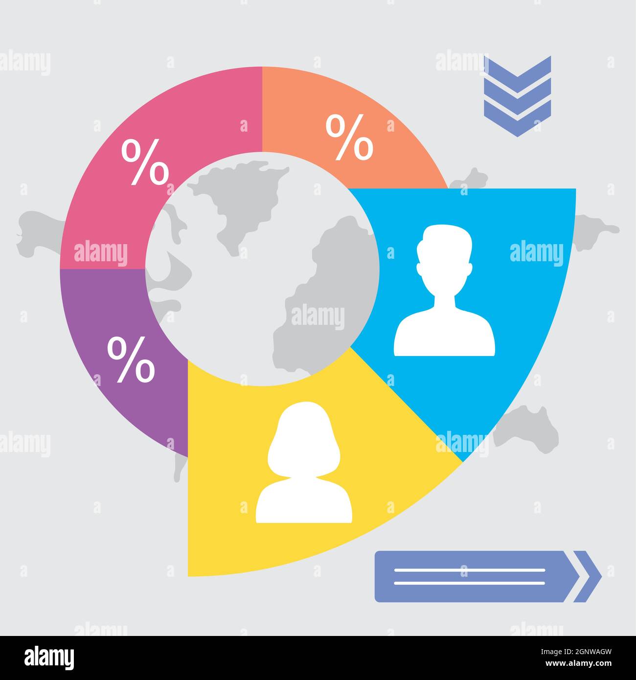 demographic percentage chart illustration design Stock Vector Image ...