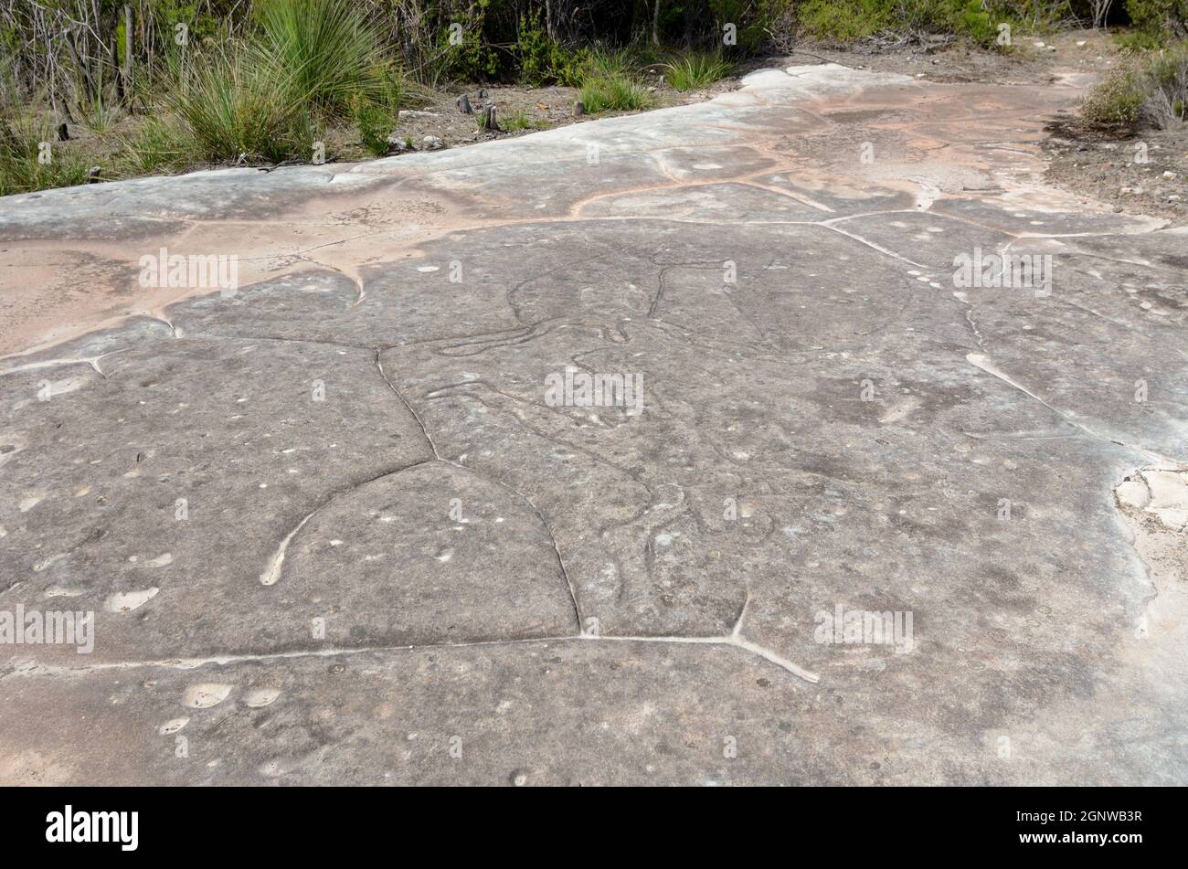 Aboriginal rock art and engravings in Ku-ring-gai Chase National Park ...