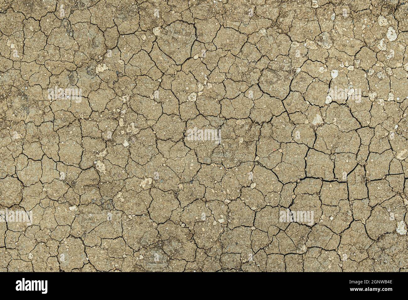 Brown dry cracked ground. Dried clay texture and patterns cracked ...