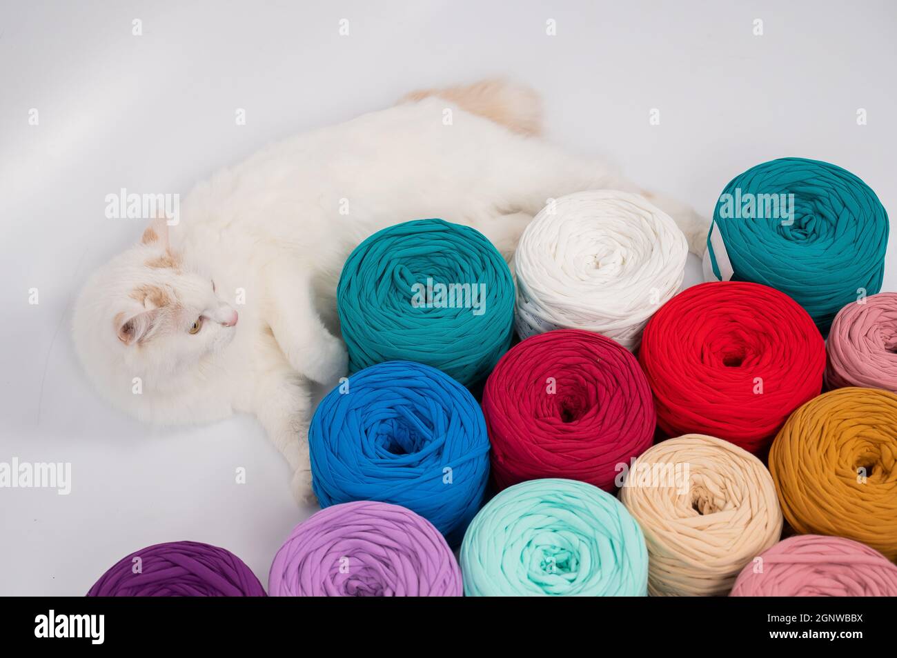 Close-up of a whiting fluffy cat among multicolored cotton skeins Stock ...