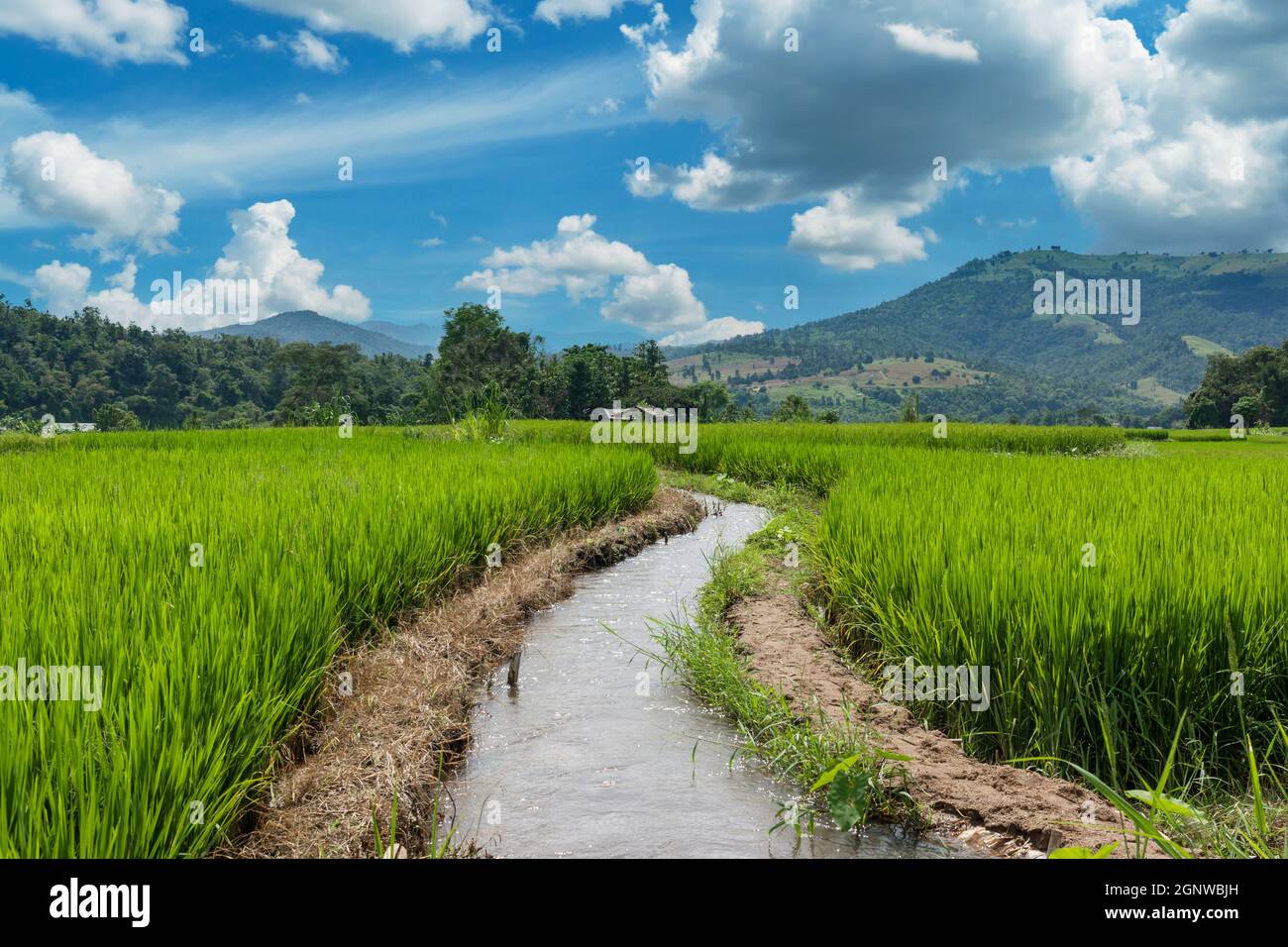Terrace land farming hi-res stock photography and images - Alamy